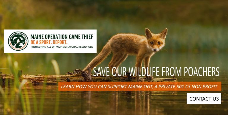 Maine Operation Game Thief – Maine Anti Poaching Organization